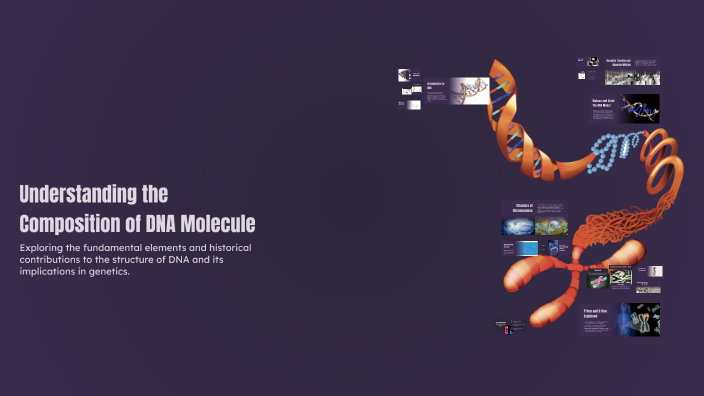 Understanding the Composition of DNA Molecule by aries perez on Prezi