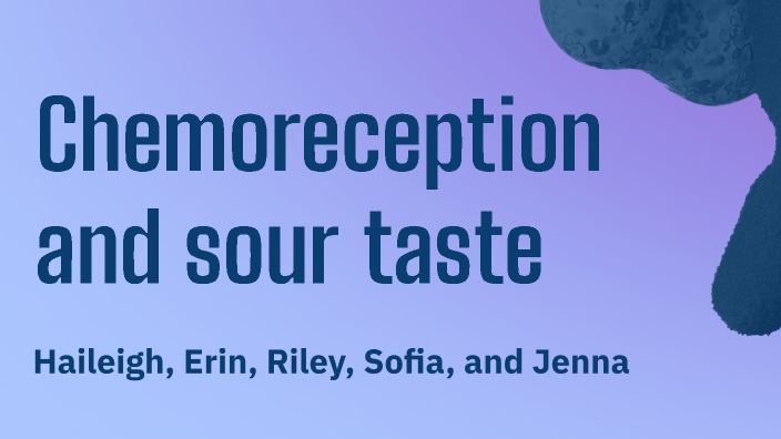 Taste buds evenly distributed amonst tongue Taste map theory: certain ...