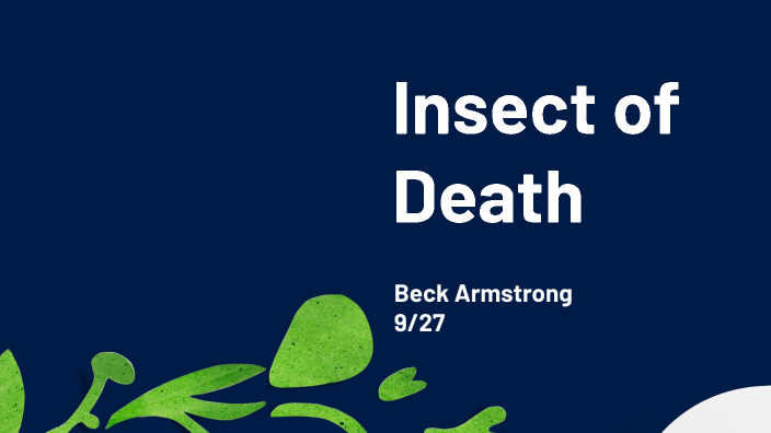 Insect of death by Beck Armstrong on Prezi