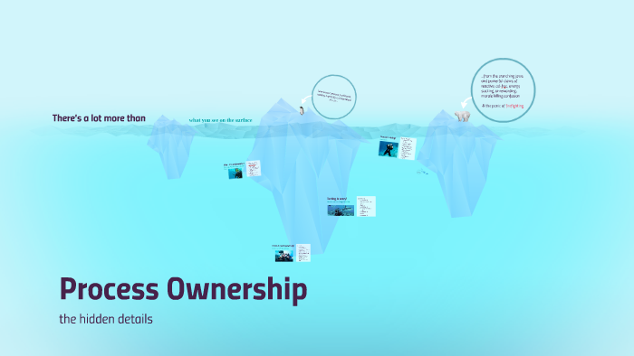 What Process Ownership is by Paul Reeves on Prezi