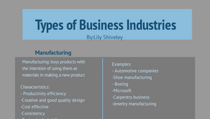 Types of Business Industries by Lillian Shiveley on Prezi Design