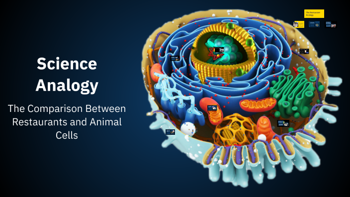 Analogy Science by Aaron Lopes on Prezi