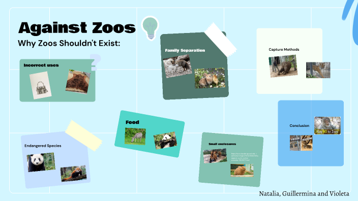 Against Zoos by Violeta Baile Rodríguez on Prezi