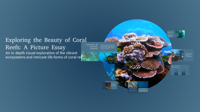 Exploring the Beauty of Coral Reefs: A Picture Essay by gabugu gabugu ...
