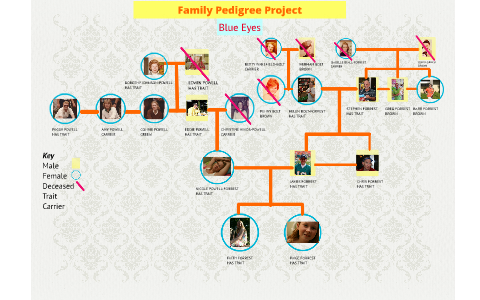 Family Pedigree Project by Faith Forrest on Prezi