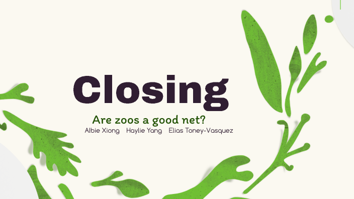 Zoo Debate by Albie Xiong on Prezi