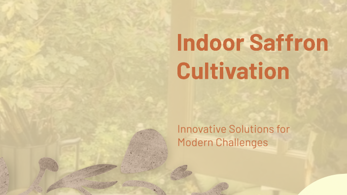 Indoor Saffron Cultivation by Rajeev Moorthy on Prezi Indoor Saffron Cultivation by Rajeev Moorthy on Prezi