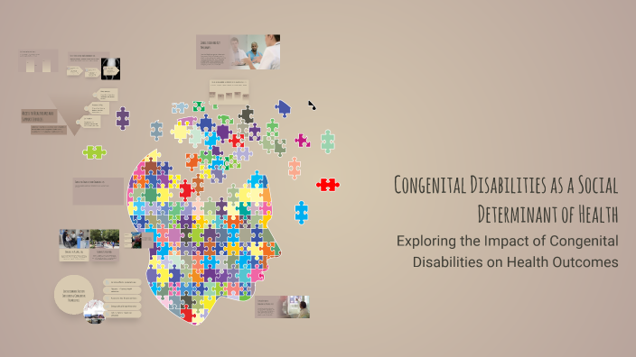 Congenital Disabilities as a Social Determinant of Health by Reese ...