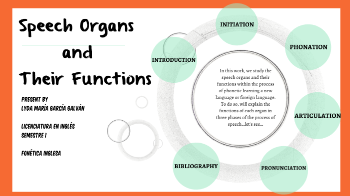 THE ORGANS OF SPEECH by Lyda María García Galván on Prezi