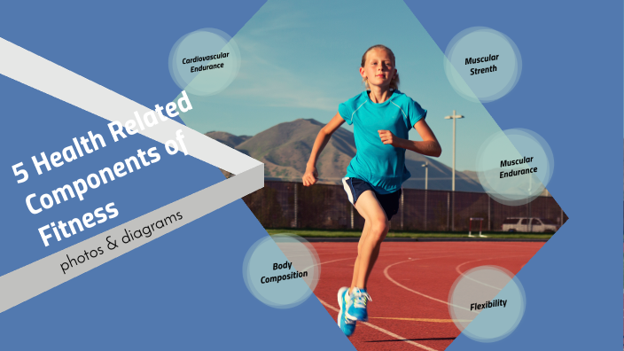 5 Health Related Components of Fitness by Emily Maltinsky on Prezi