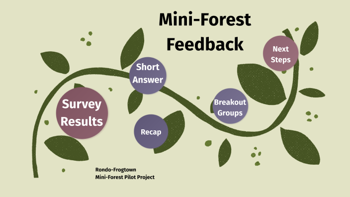 Mini-Forest Feedback by Anna Turner on Prezi