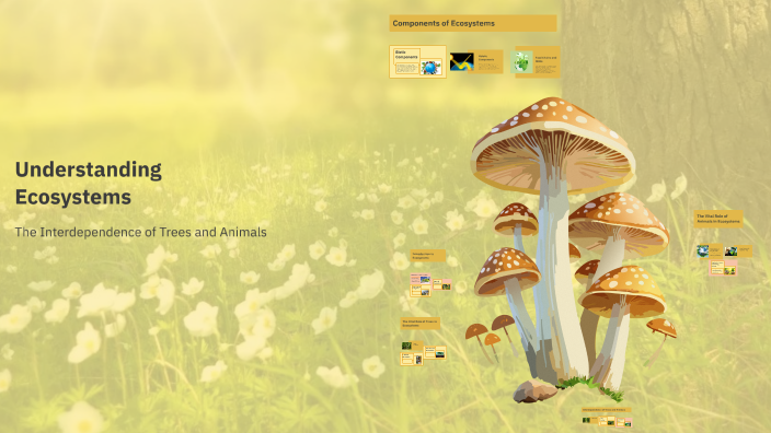 Understanding Ecosystems by cedric van pelt on Prezi