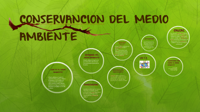 CONSERVANCION DEL MEDIO AMBIENTE by Solange Camacho Cervantes on Prezi
