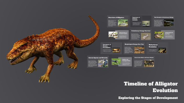 Timeline evolution of alligator by G M on Prezi