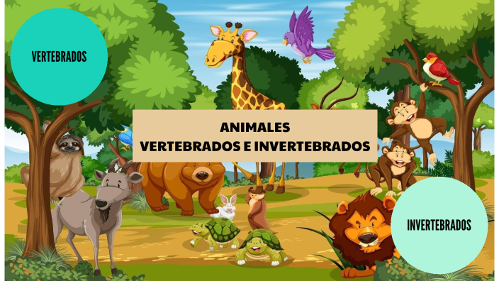 Animales vertebrados e invertebrados by Marcela Suazo Villarreal on Prezi