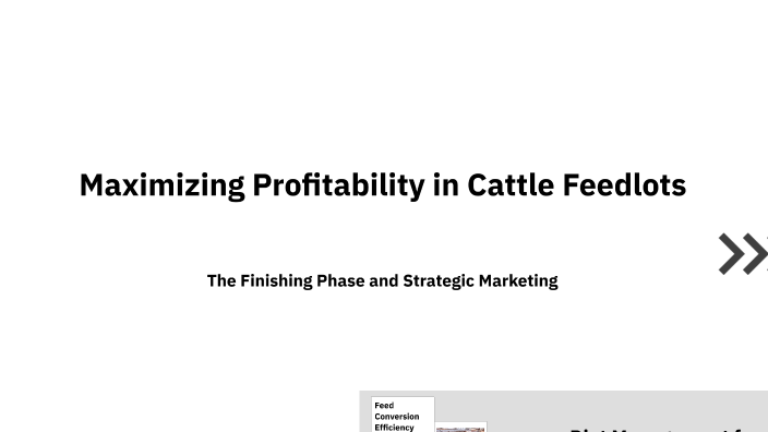Maximizing Profitability in Cattle Feedlots by Keysha Kindle on Prezi