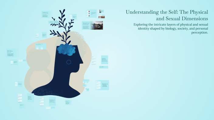 Understanding the Self: The Physical and Sexual Dimensions by maroine ...