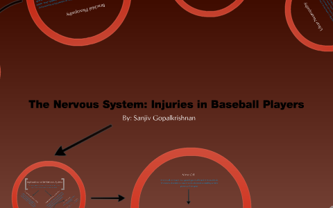 The Nervous System: Injuries in Baseball Players by Sanjiv ...