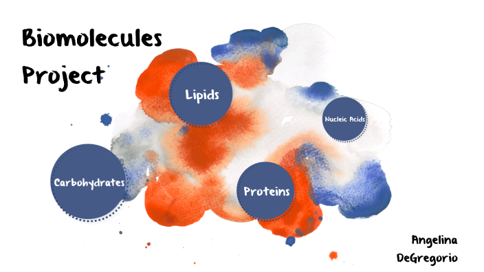 Biomolecules Project - Angelina DeGregorio by Angelina DeGregorio on Prezi