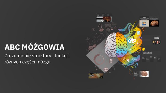 Anatomia Mózgu by Jakub Borys on Prezi
