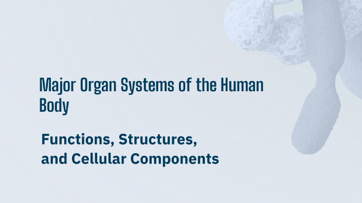 Major Organ Systems of the Human Body by Shanequa Roee on Prezi