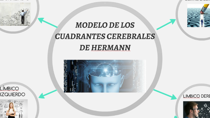 MODELO DE LOS CUADRANTES CEREBRALES DE HERMANN by Danna Rodriguez ...