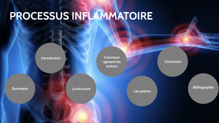 processus inflammatoire by lilhya vaselli on Prezi
