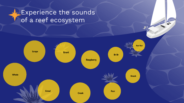 Reef Ecosystem Sounds by Valentina Perez on Prezi