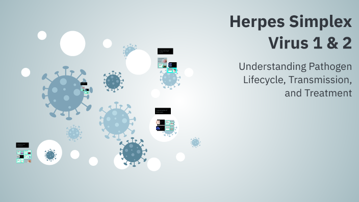 Herpes Simplex Virus 1 & 2 by Priscilla Mendez on Prezi