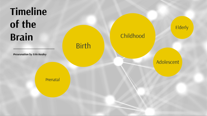 Brain Timeline Erin K by Erin Kealey on Prezi