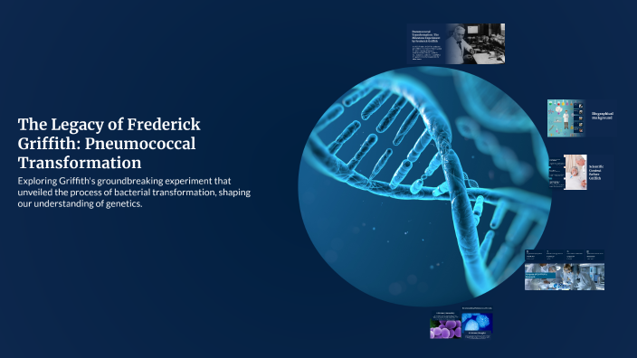 The Legacy of Frederick Griffith: Pneumococcal Transformation by Jacob ...