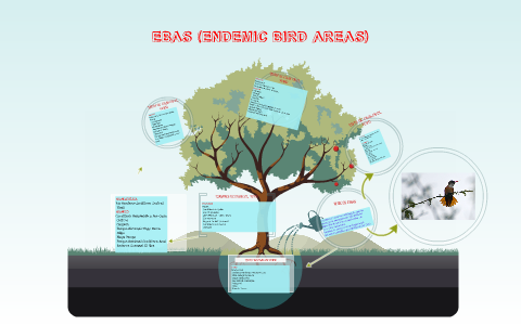 QUE ES EBAS by on Prezi