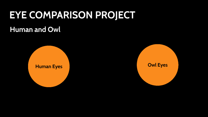 Eye Comparison Project by e e on Prezi