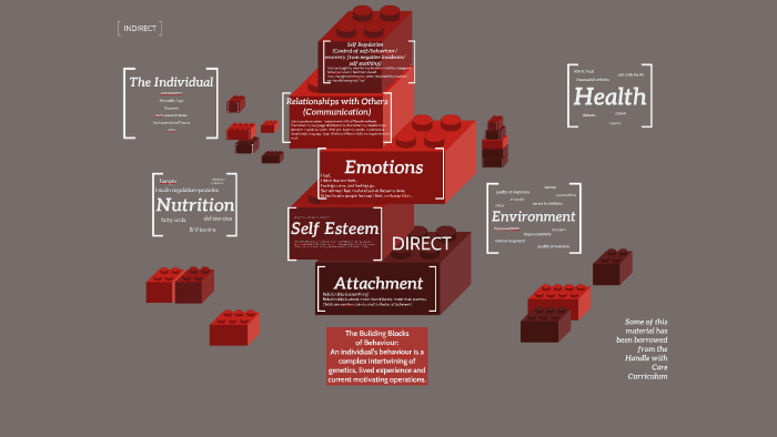 The Building Blocks of Behaviour by Margaret Peters on Prezi
