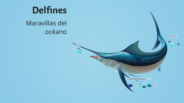Delfines by Laura Susana Santos Rivera on Prezi