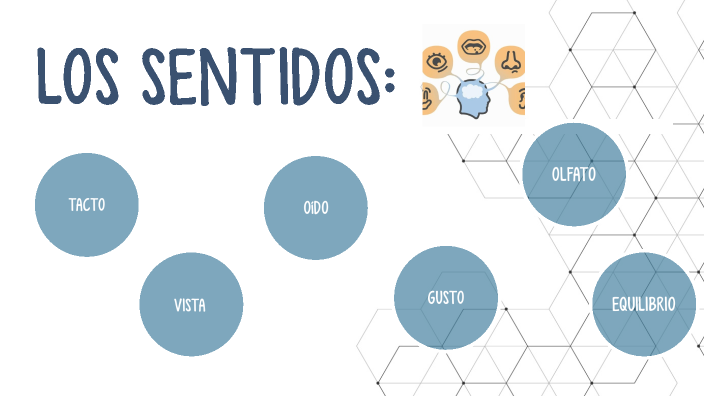 Los 6 sentidos: Telmo, Laura, Asier G. y Javier. by Telmo. Parra ...