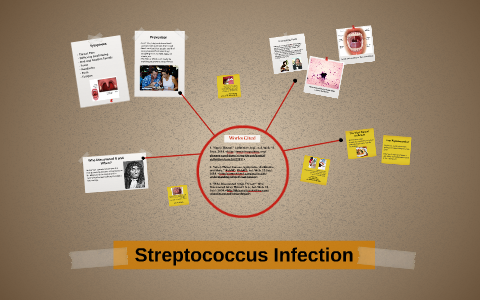 Streptococcus Infection by Kayla Laufer on Prezi