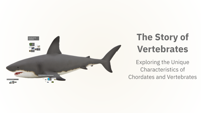 The Story of Vertebrates by shwiggie cabrera on Prezi