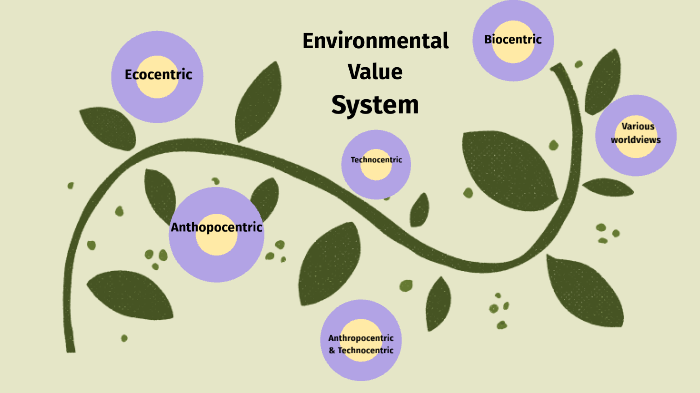 environmental value system by paz bermejillo on Prezi