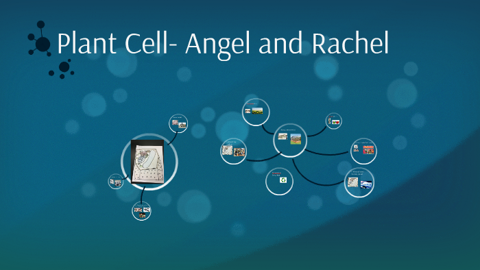 Nucleus/ City Hall by Rachel James on Prezi