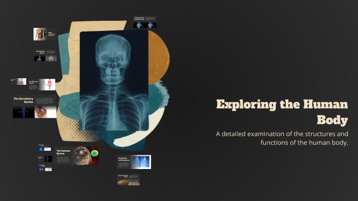 Exploring the Human Body by Tài Trần on Prezi