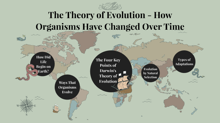 Theory of Evolution - How Organisms Have Changed Over Time by Ezra ...