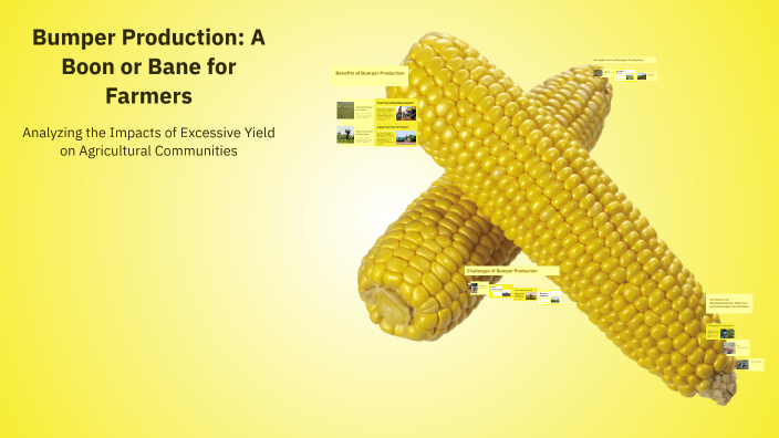 Bumper Production: A Boon or Bane for Farmers by bahid anv on Prezi
