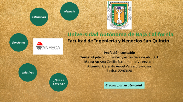 objetivo, funciones y estructura de ANFECA by gerardo velasco on Prezi