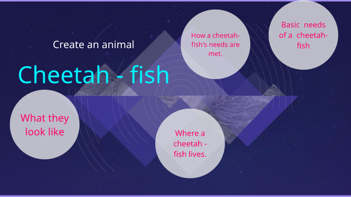 Cheetah - fish by Anika Moolan on Prezi Next