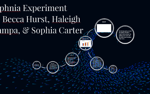 Water Flea Lab Report by Becca Hurst on Prezi