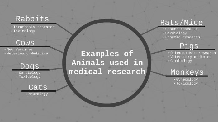 Examples of Animals used in medical research by Max Dietrich on Prezi