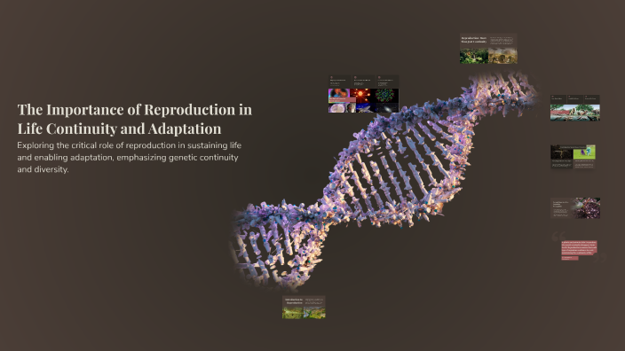 The Importance of Reproduction in Life Continuity and Adaptation by ...