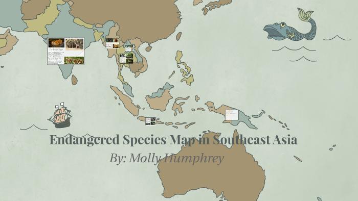 Wildlife Conservation in Southeast Asia Map by Molly Humphrey on Prezi