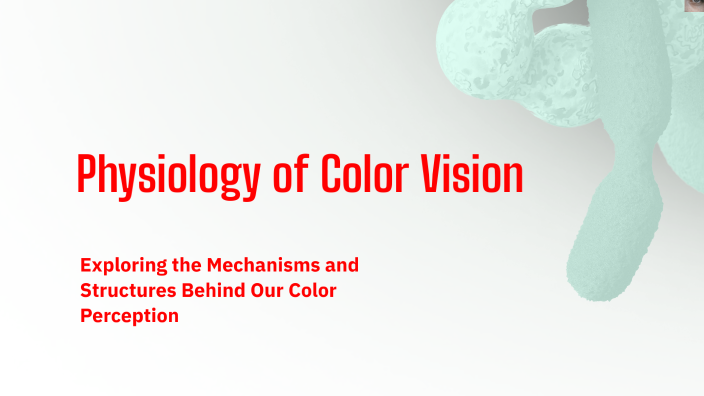 Physiology of Color Vision by Anshita Varshney on Prezi